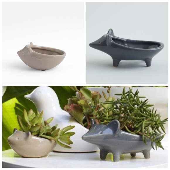 West Elm | Accents | 2pc Set Ceramic Animal Planters Pots Hedgehog ...